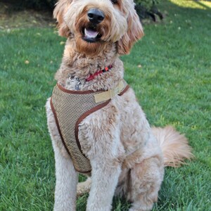 Sewing Pattern Dog Harness and Leash Pattern, Simplicity Sewing Pattern ...