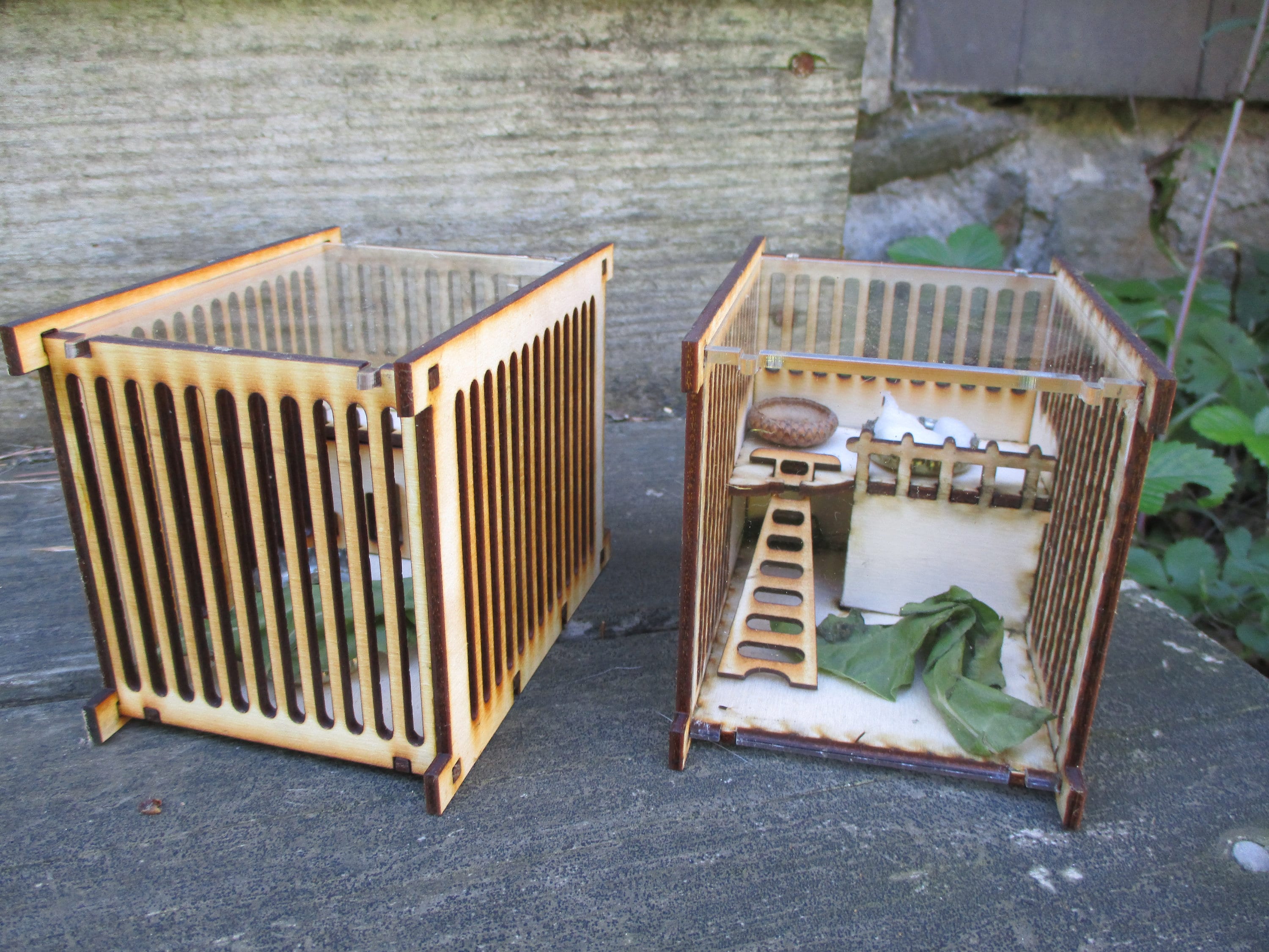 Bug Cage for sale | Only 2 left at -75%