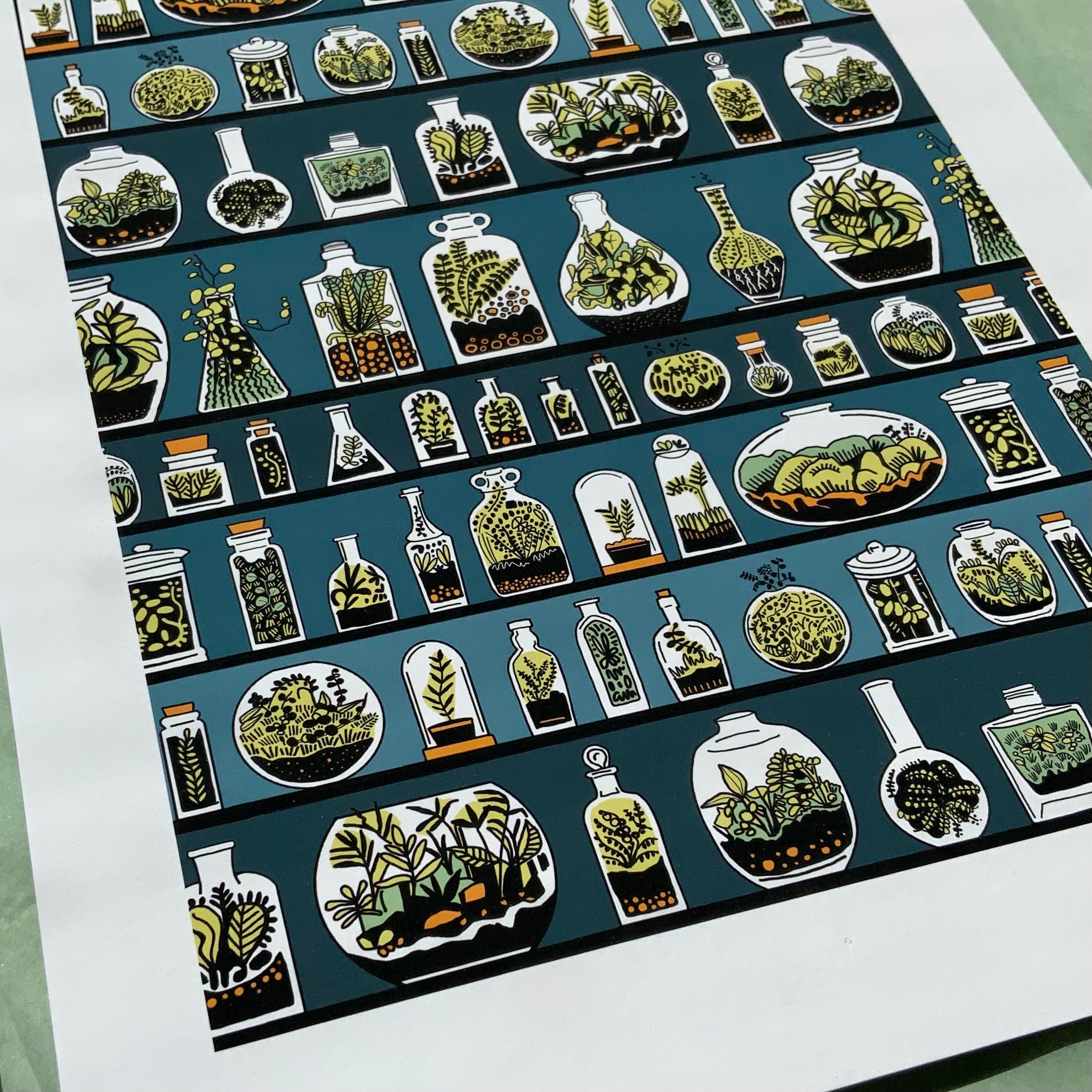 Terrarium bottles Print/ Terrarium Illustration/ Plant Poster/ | Etsy