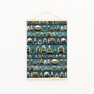 Terrarium Bottles Print/ Terrarium Illustration/ Plant Poster ...