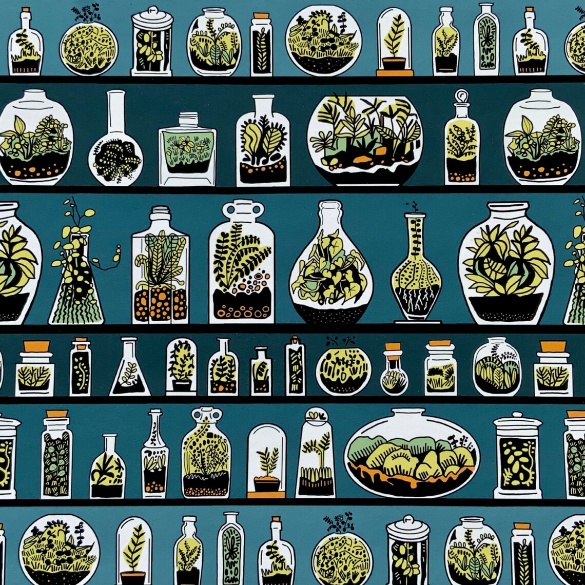 Terrarium Bottles Print/ Terrarium Illustration/ Plant Poster ...