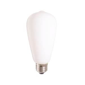 LED White Edison Bulb - White Light 3500K - E26 - Modern Lighting ...