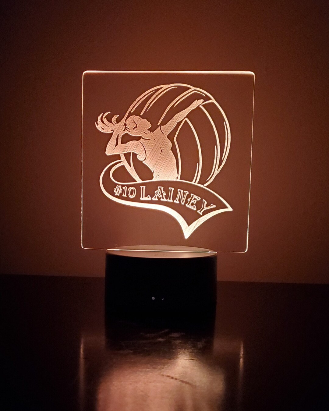 Personalized Volleyball LED Light, Volleyball Gift, Sport Gift, LED ...