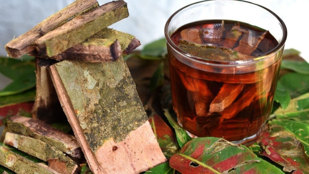 Arjuna Bark HEART Support TEA Organic Terminalia Arjuna Fine Inner Bark ...