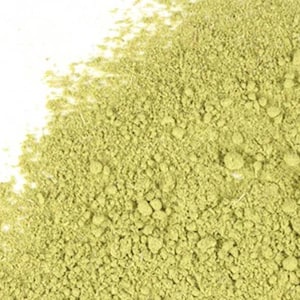 Mexican Tarragon | Tagetes Lucida | Marigold | Yauhtli -100% Pure ...