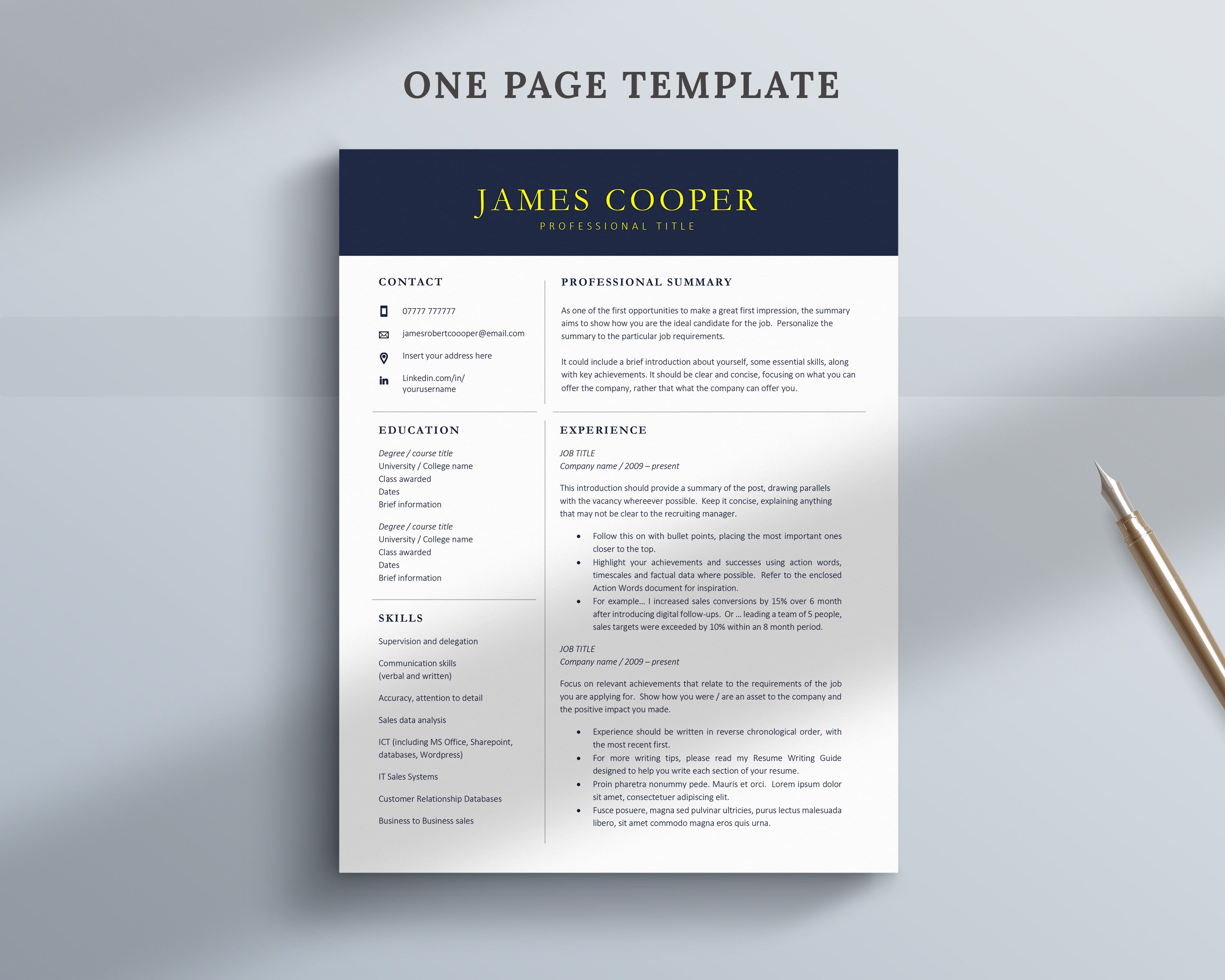 Executive Resume Template Word, CEO Resume Template for Word, C Level ...