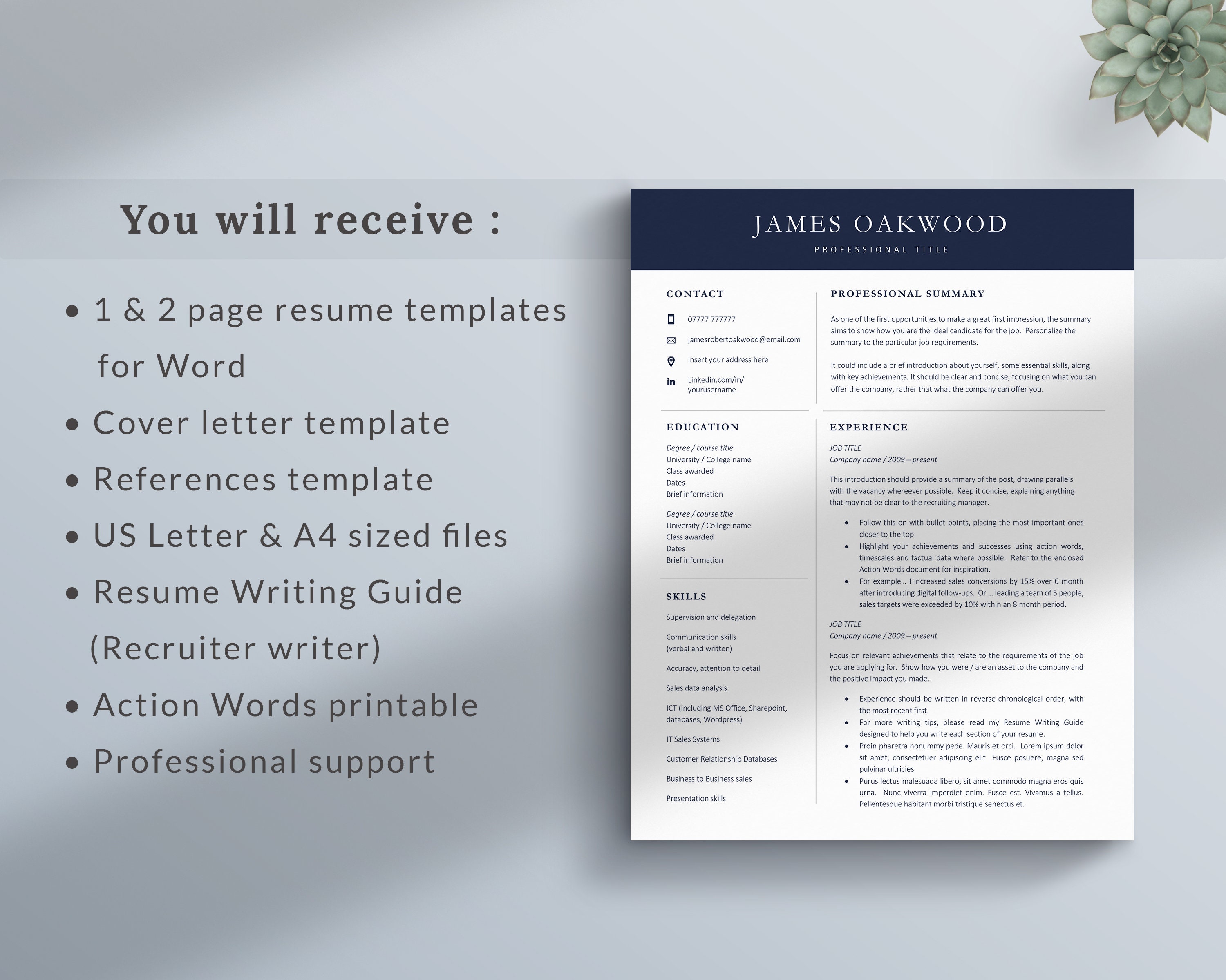 Executive Resume Template for Word Modern Professional CV - Etsy UK