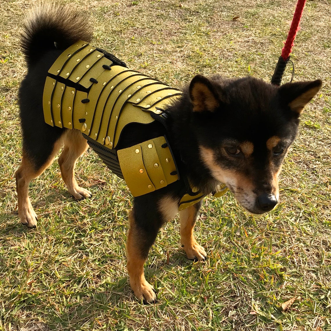 Bold Gold Samurai Armor For Small Dogs Dog-G-902 | Etsy