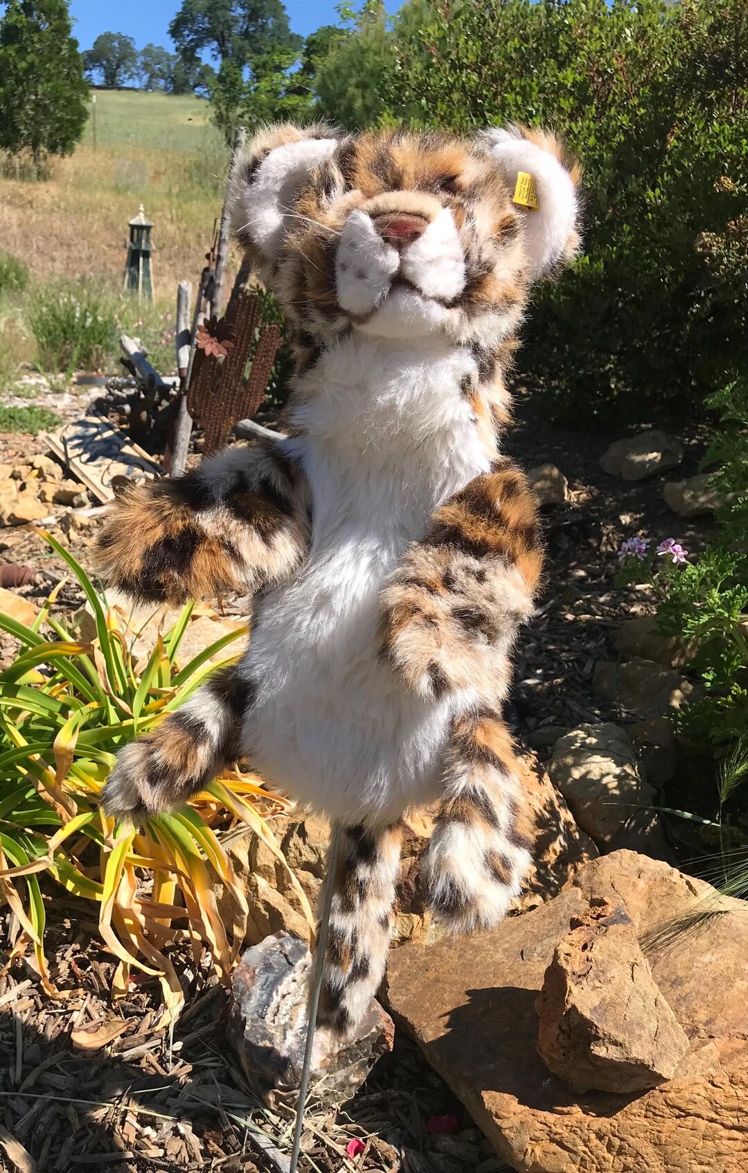 Vintage Steiff Leopard Cub Hand Puppet, Like New - Etsy