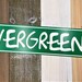 The Simpsons Street Sign - the Simpsons Decor - Evergreen Terrace - the ...