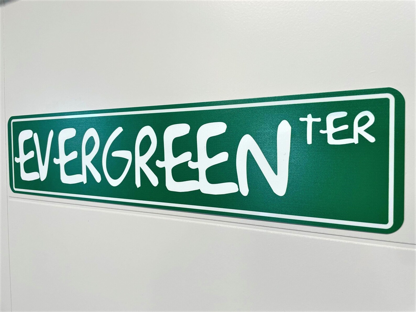 The Simpsons Street Sign the Simpsons Decor Evergreen | Etsy