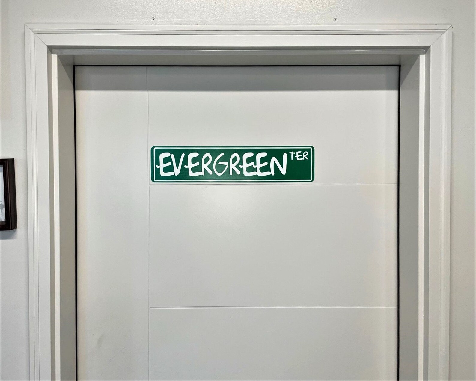 The Simpsons Street Sign the Simpsons Decor Evergreen | Etsy