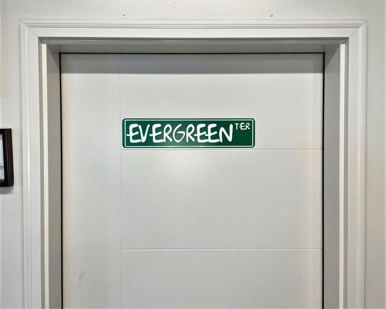 The Simpsons Street Sign the Simpsons Decor Evergreen | Etsy