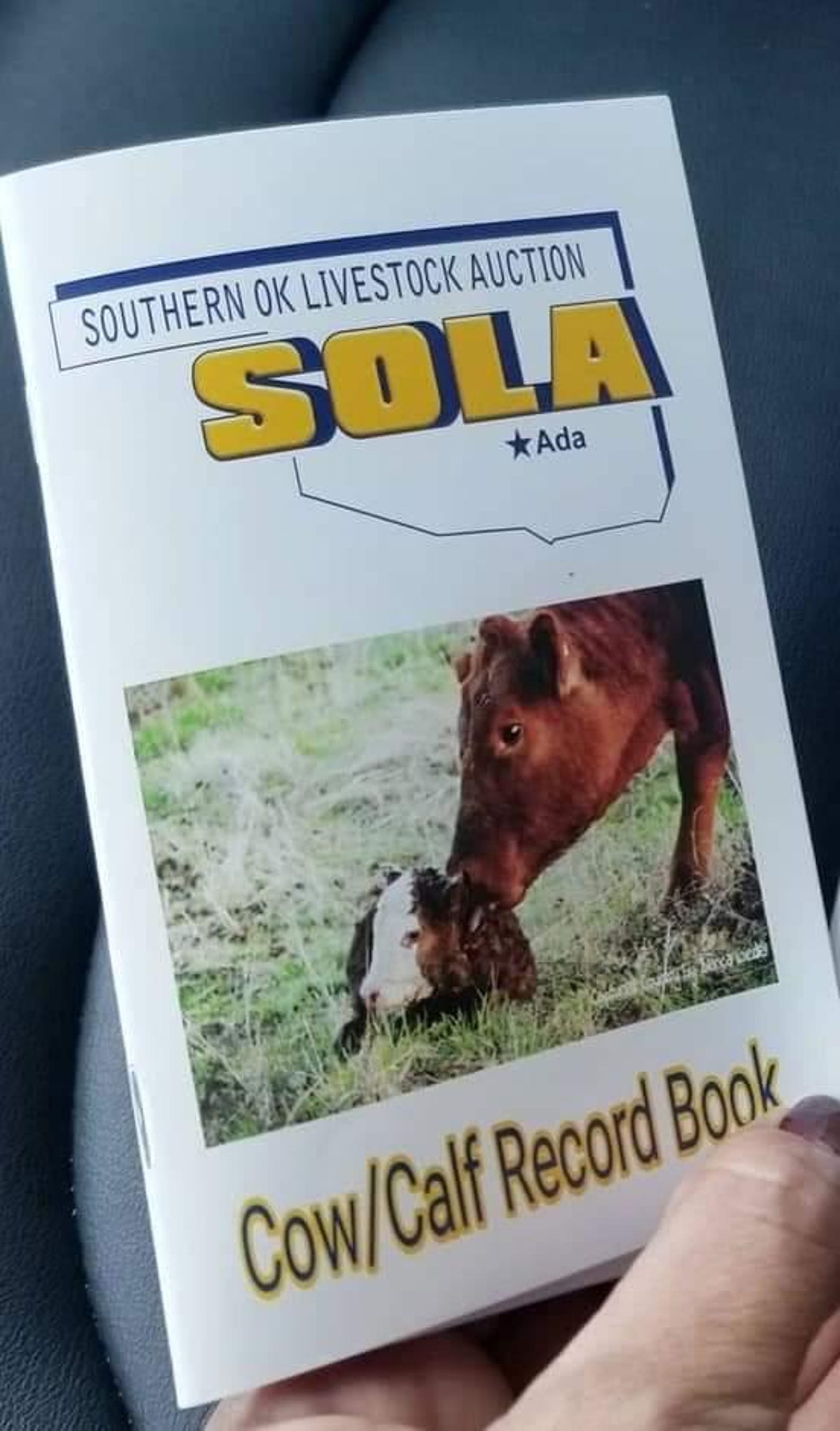PERSONALIZED CATTLE Log Books Log 192 Cow Calf Pair Farm Management - Etsy