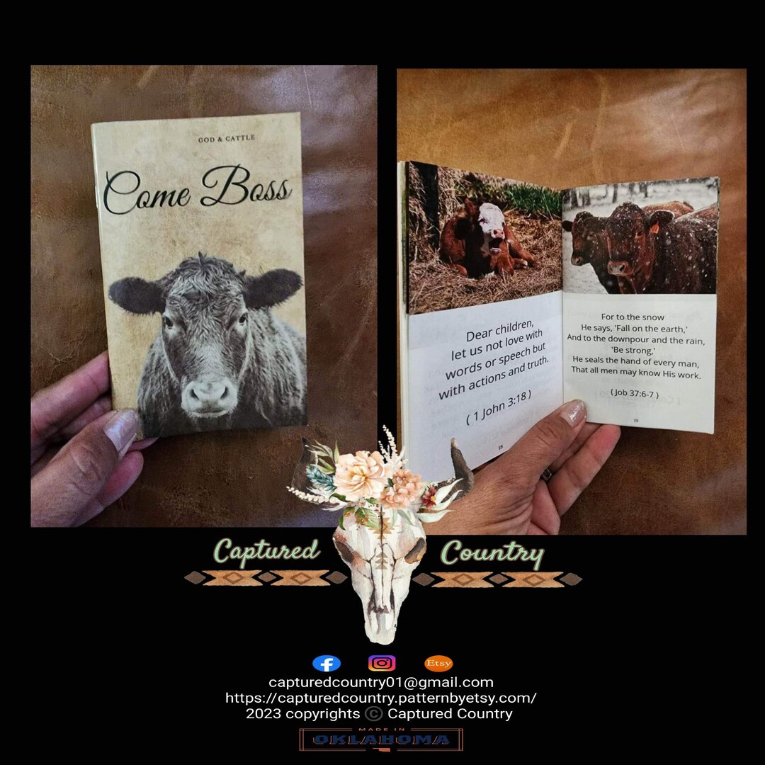 Daily Bible Verses Cattle Photography Devotional Pocket-size Made in ...
