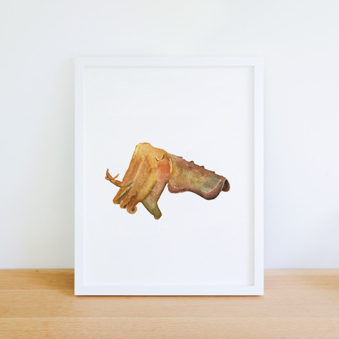Cuttlefish - Watercolor Art Print, Ocean Animal Nautical Marine Nursery ...