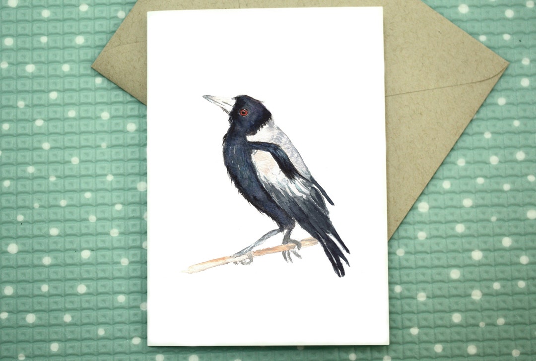Australian Magpie - Blank Greeting Card - Etsy