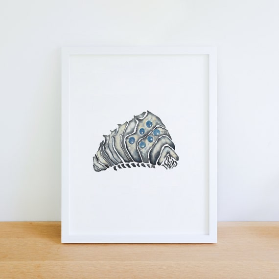 Ohmu From Nausicaa Valley Of The Wind Fanart Studio Ghibli, 58% OFF