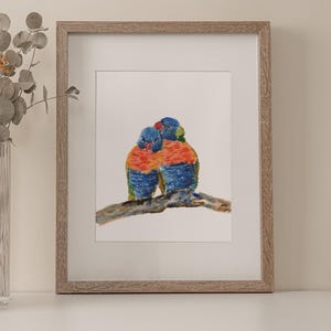 Rainbow Lorikeets - Watercolor Art Print Australian Native Bird Home ...