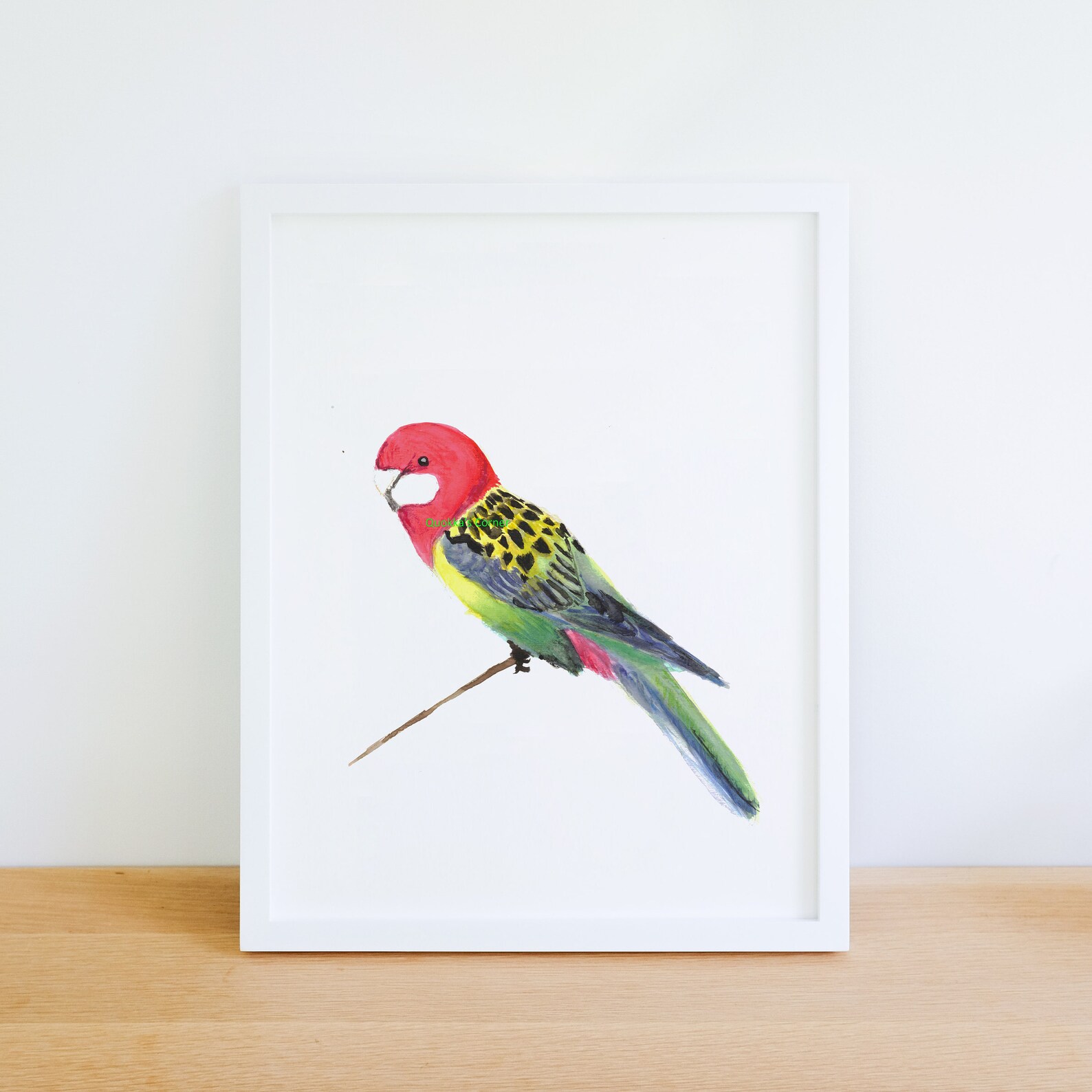 Eastern Rosella Watercolor Art Print Australian Native Bird - Etsy
