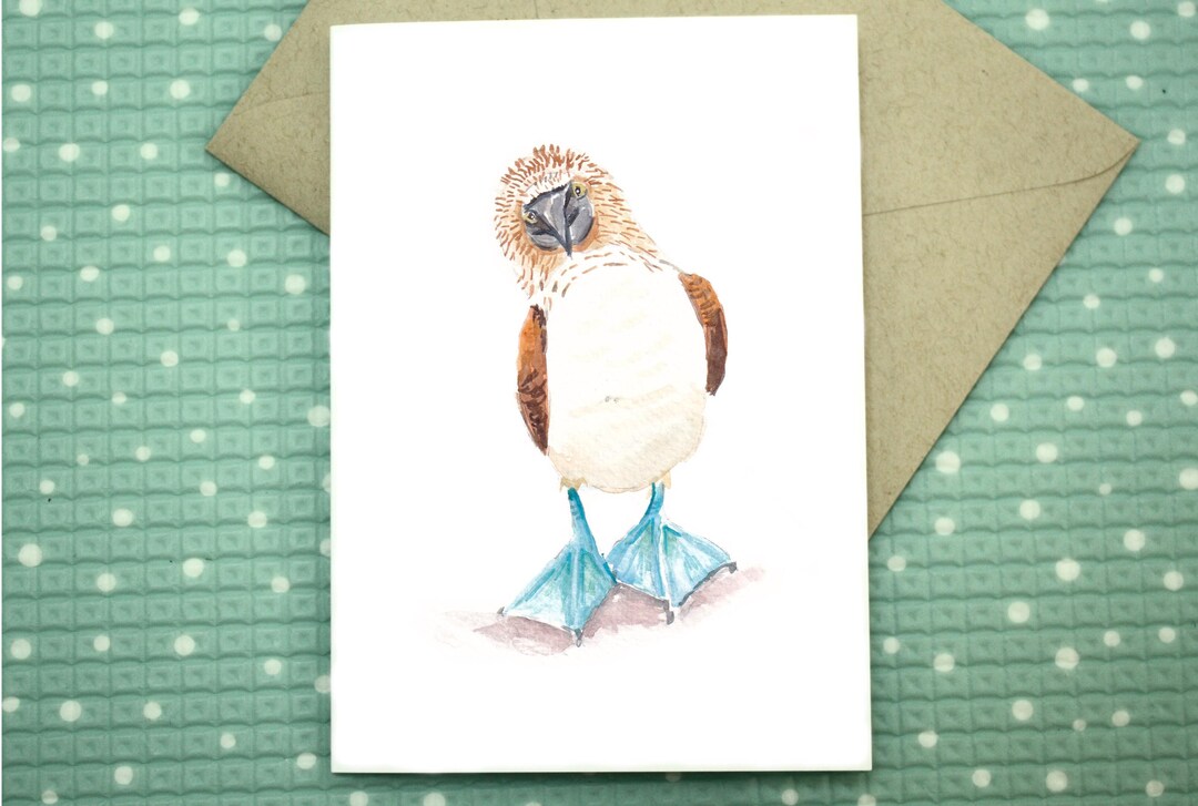 Blue Footed Booby - Blank Greeting Card - Etsy