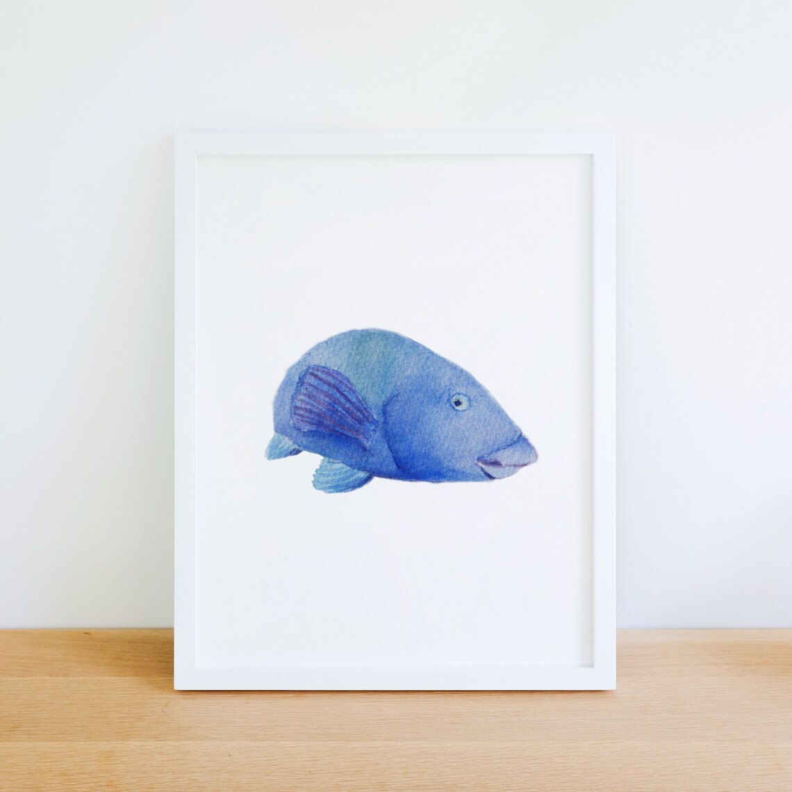 Blue Groper Fish - Watercolor Ocean Art Print - Etsy Australia