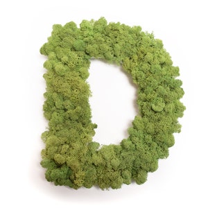 Moss Letters Iceland Moss 15 or 30 Cm High | for Wall Decoration Moss ...