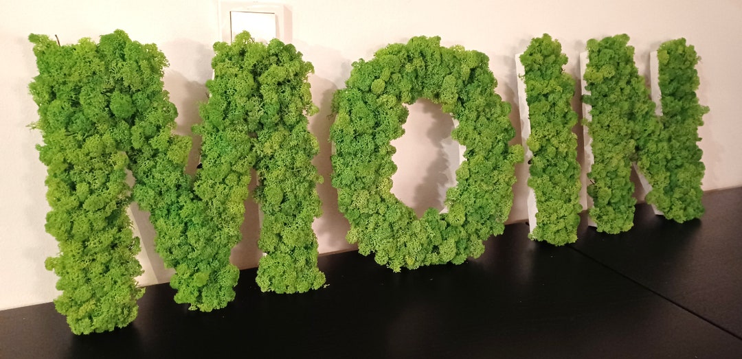 Moss Letters Iceland Moss 15 or 30 Cm High | for Wall Decoration Moss ...