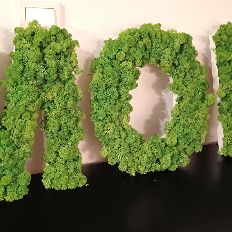 Moss Letter - Etsy