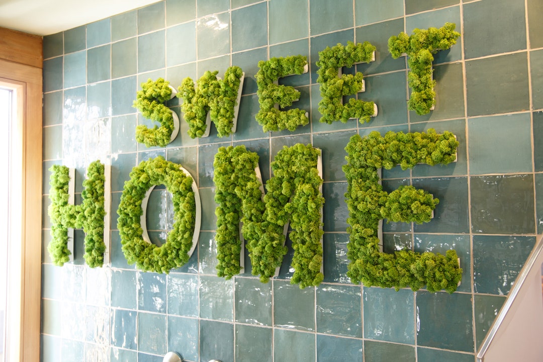 Moss Letters Iceland Moss 15 or 30 Cm High | for Wall Decoration Moss ...