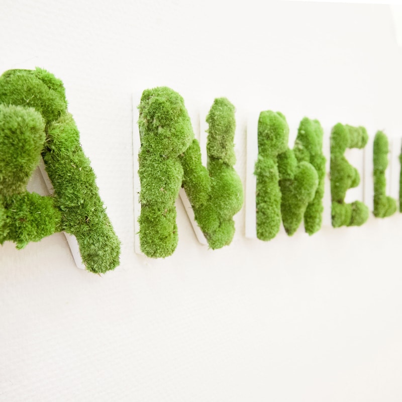 Moss Letters - Etsy