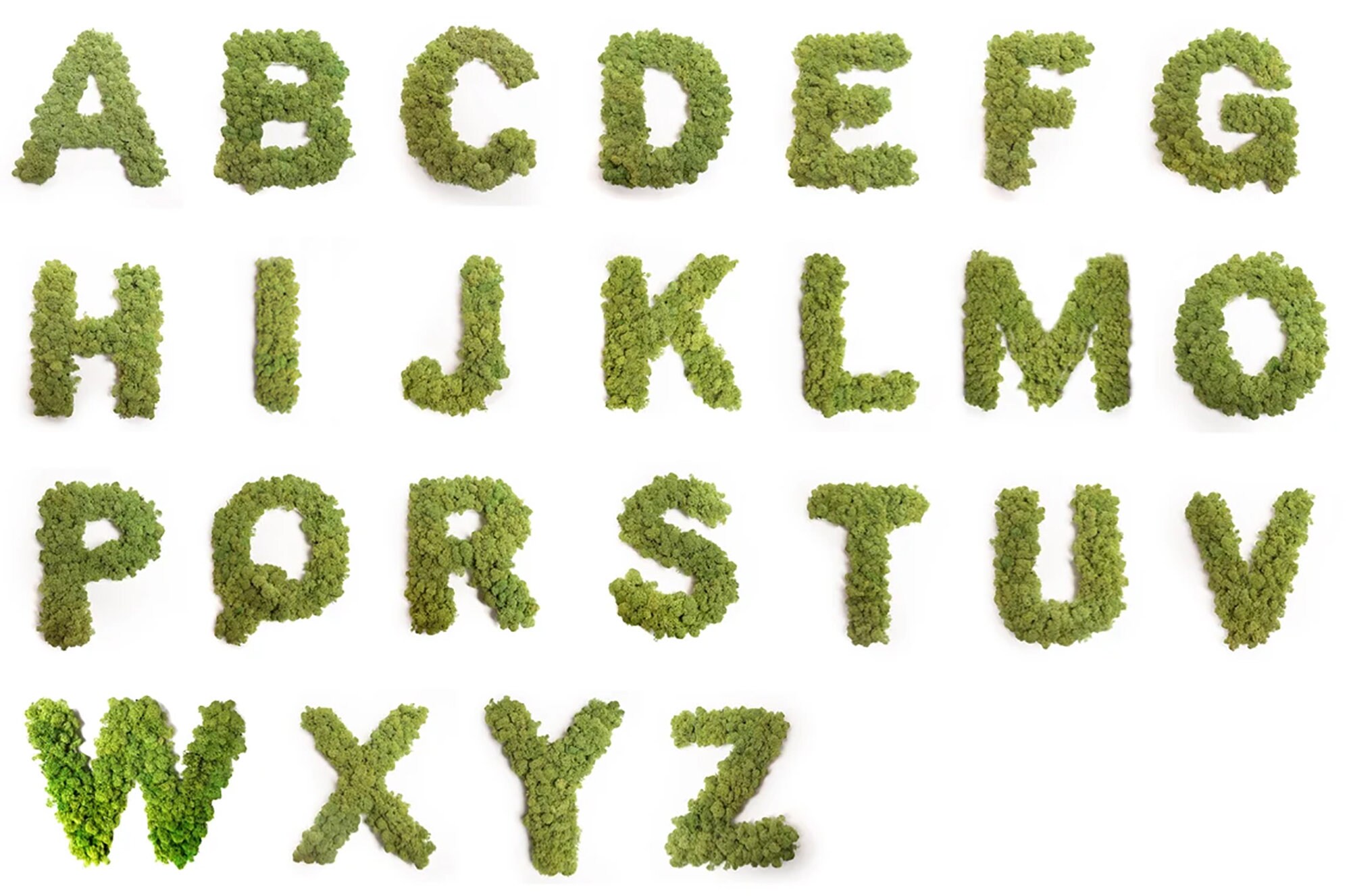 Moss Letters Iceland Moss 15 or 30 Cm High | for Wall Decoration Moss ...