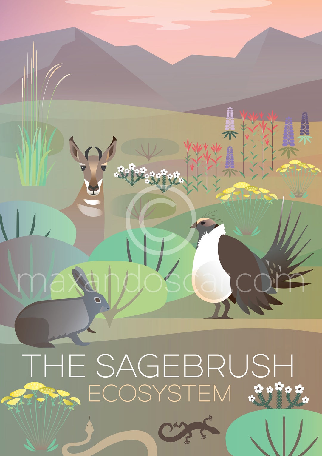 The Sagebrush Eco System Print - Etsy