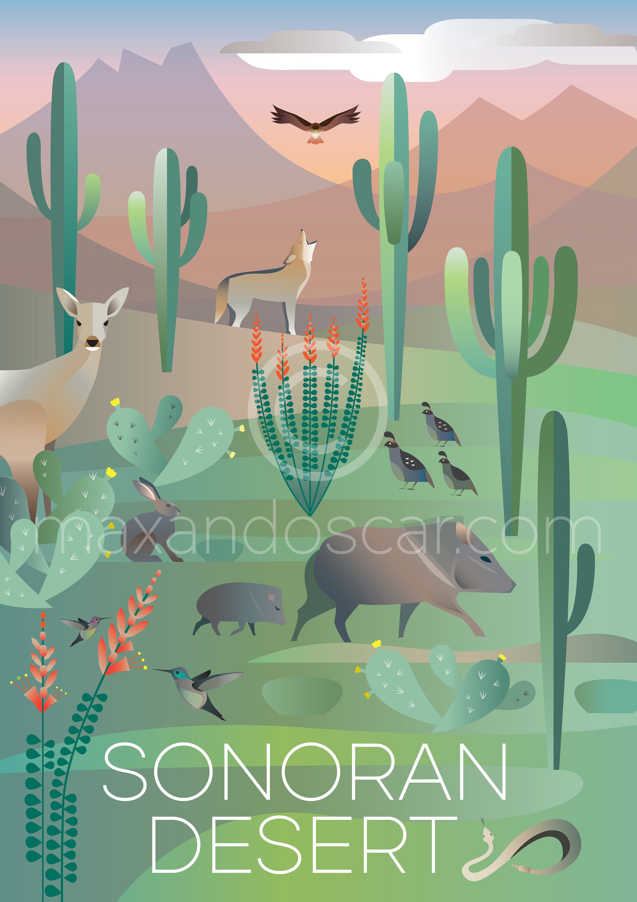 Sonoran Desert - Etsy