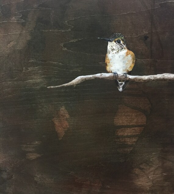 Hummingbird Hand Painted Original Oil on Wood Panel Realism - Etsy