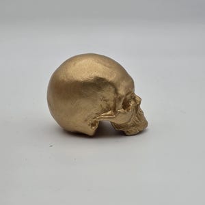 Gold Effect Solid Tiny Human Half Skull Ornament. Small Replica Plaster ...