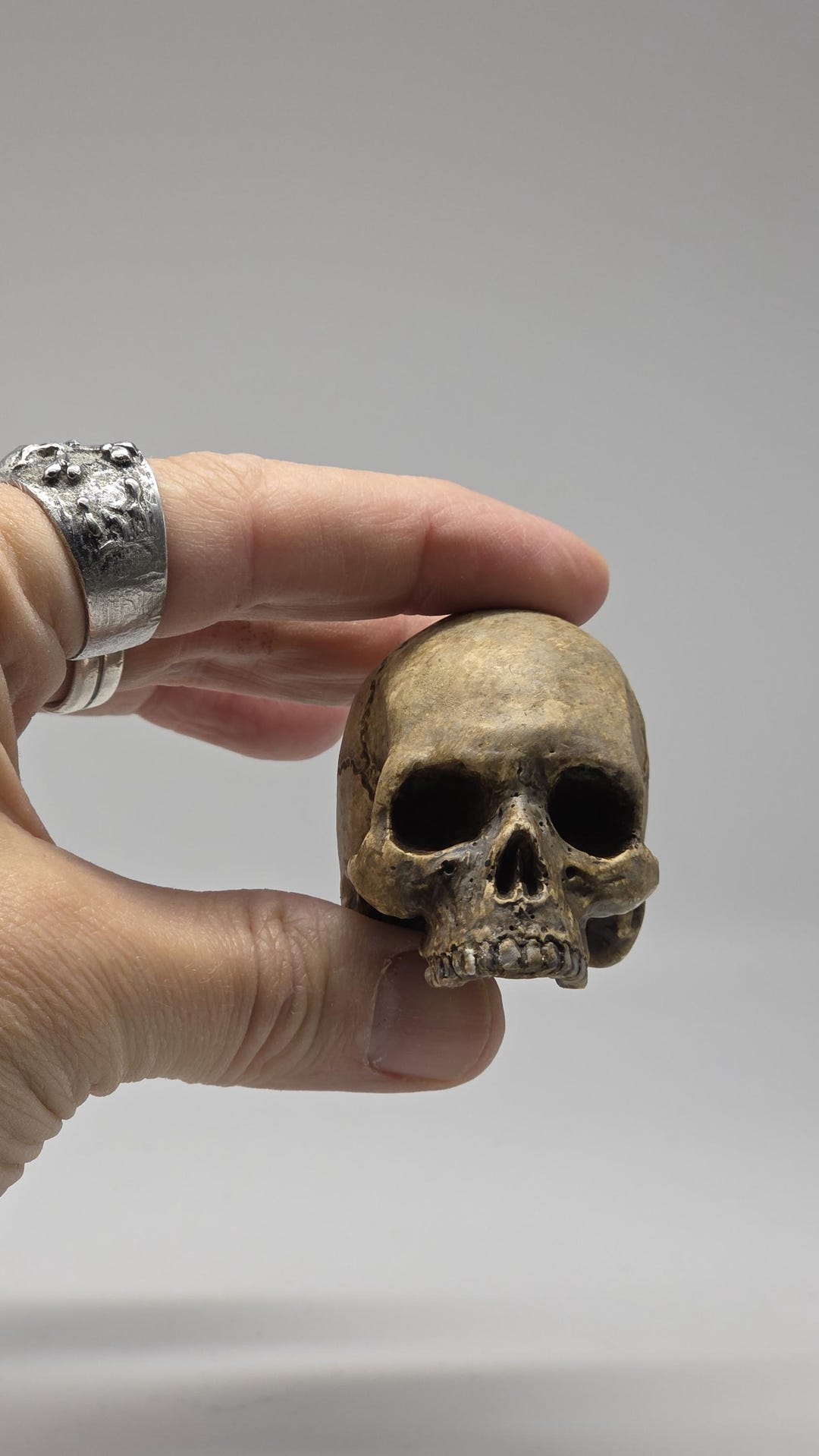 Solid Tiny Human Half Skull Ornament. Small Replica Plaster of Paris ...