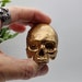 Gold Effect Solid Tiny Human Half Skull Ornament. Small - Etsy