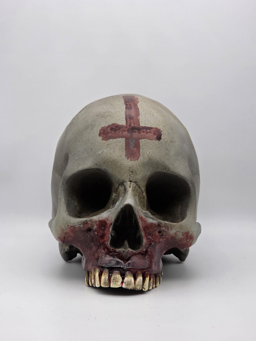 Anointed. Human Skull Replica . Realistic Plaster of Paris Life Size ...