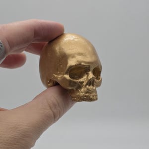 Gold Effect Solid Tiny Human Half Skull Ornament. Small Replica Plaster ...