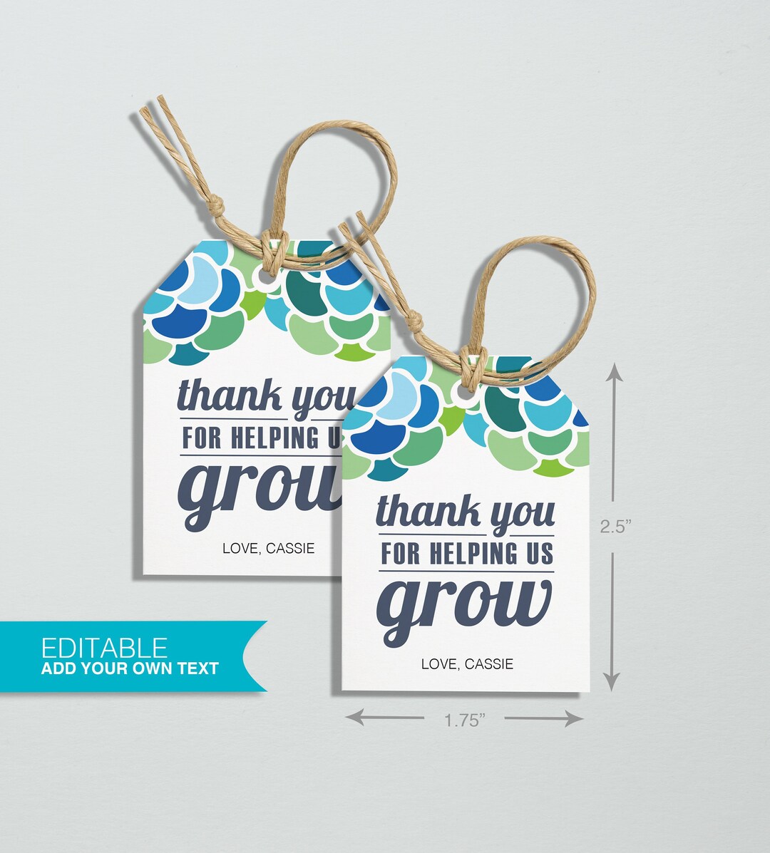 Teacher Appreciation Gift Tags - Editable Template, Teacher Gift Tags ...