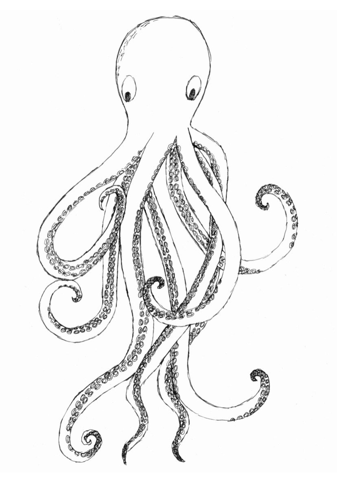 Printable: Set of 4 Octopus Folding Cards in A4 Format to Print Out and ...
