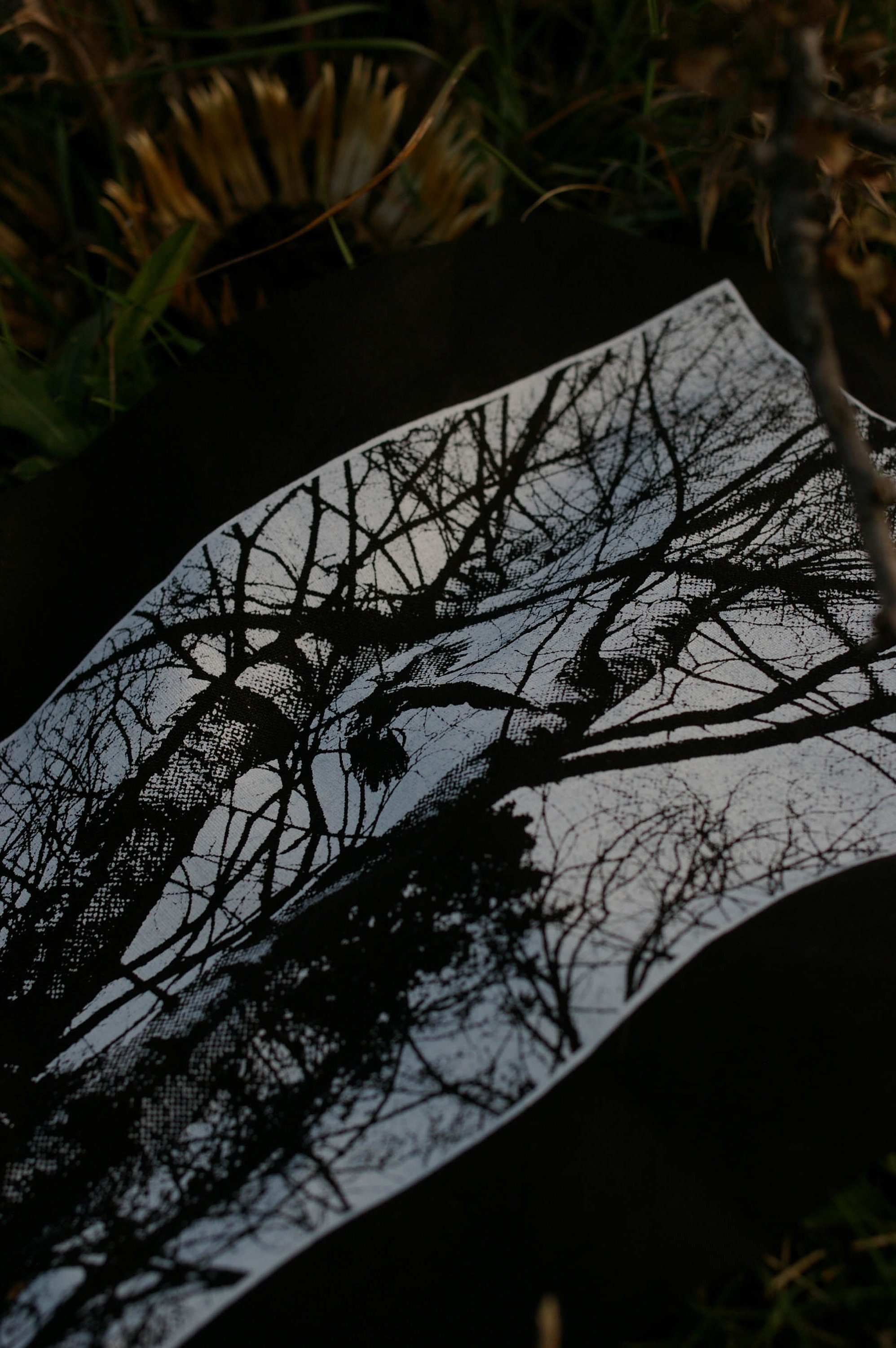 Birch and raven Patch - Crow Backpatch - Dark aesthetic patch - Forest ...