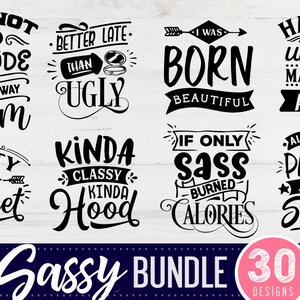 Sassy Bundle 30 Designs SVG Cut File - Commercial Use Svg Dxf Png Eps ...