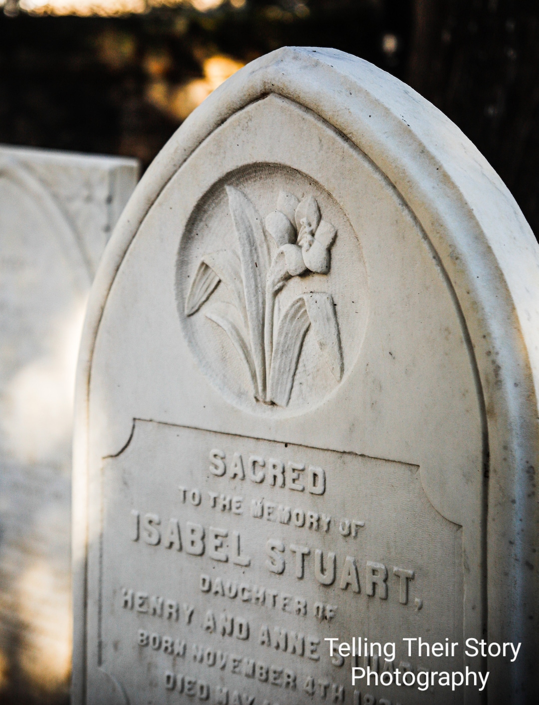 Daffodil Floral Gravestone Headstone Photographic Print Historic ...