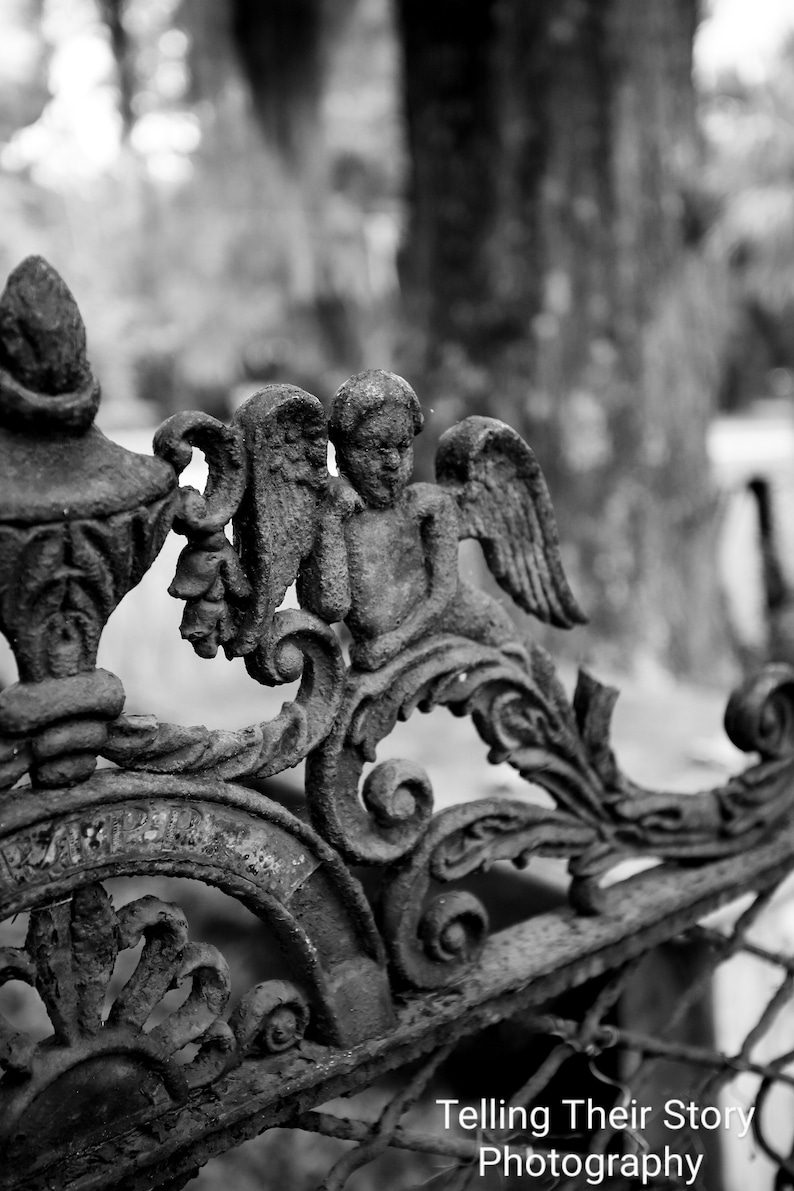 Wrought Iron Cherub Gate Cemetery Graveyard Photographic Print Historic ...