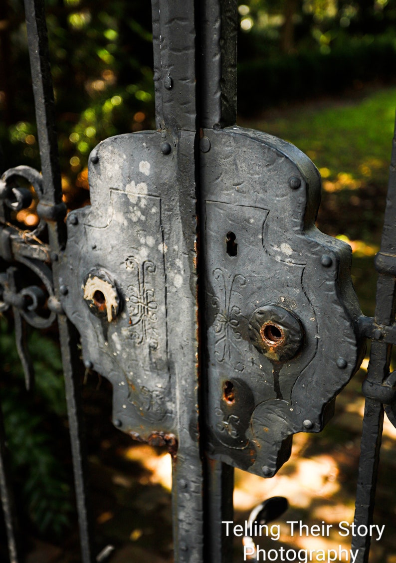 Wrought Iron Gate Cemetery Graveyard Photographic Print Historic ...