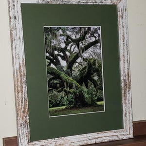 FRAMED Portrait Live Oak Tree Angel Oak Photographic Print Beaufort SC ...