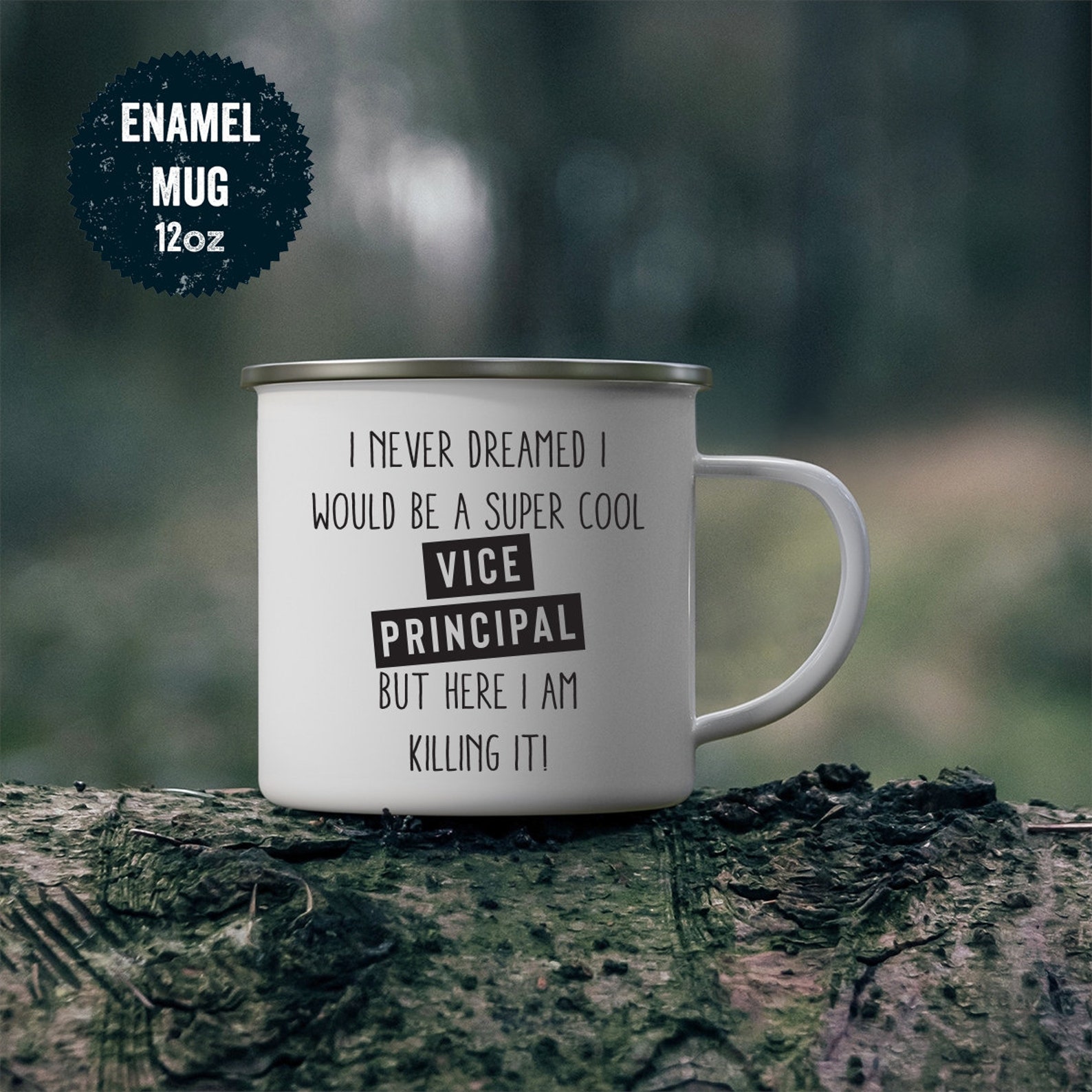 Principal Gift, Vice Principal Mug, School Vice Principal Gift ...