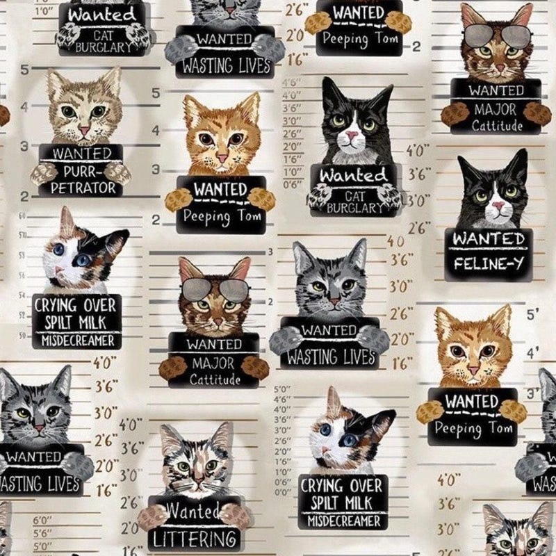 Cat Scrub Cap Funny - Etsy